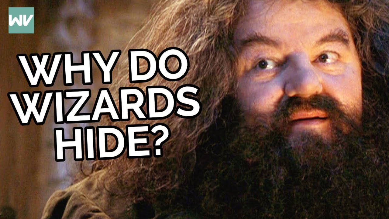 Why Wizards Hide From Muggles In Harry Potter! - YouTube
