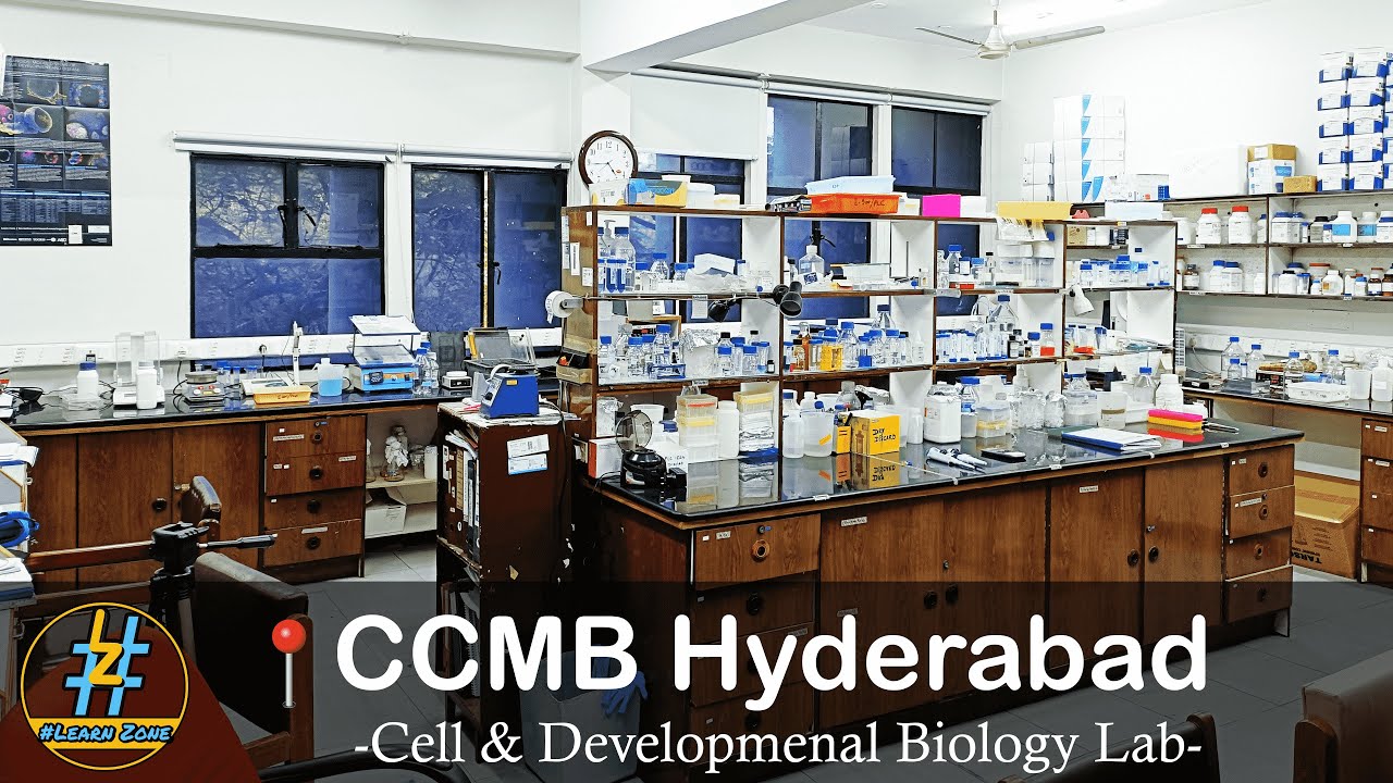 CSIR-CCMB : Cell & Developmental Biology Lab | Lab tour-2 | - YouTube