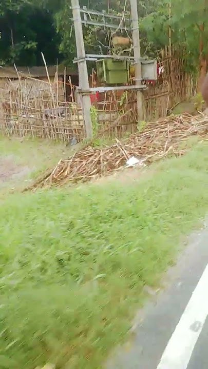 7 August 2024 - YouTube