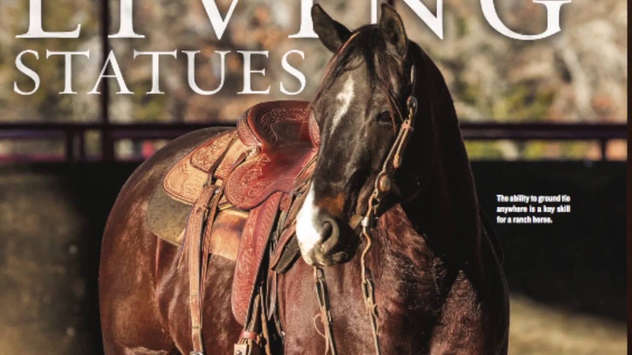 AQHA's Ranch Horse Journal - YouTube