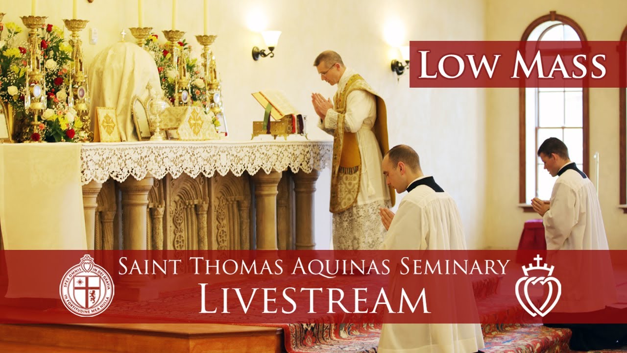 Low Mass - Ss. Nereus, Achilleus, Domitilla & Pancratius - 5/12/23 - St ...