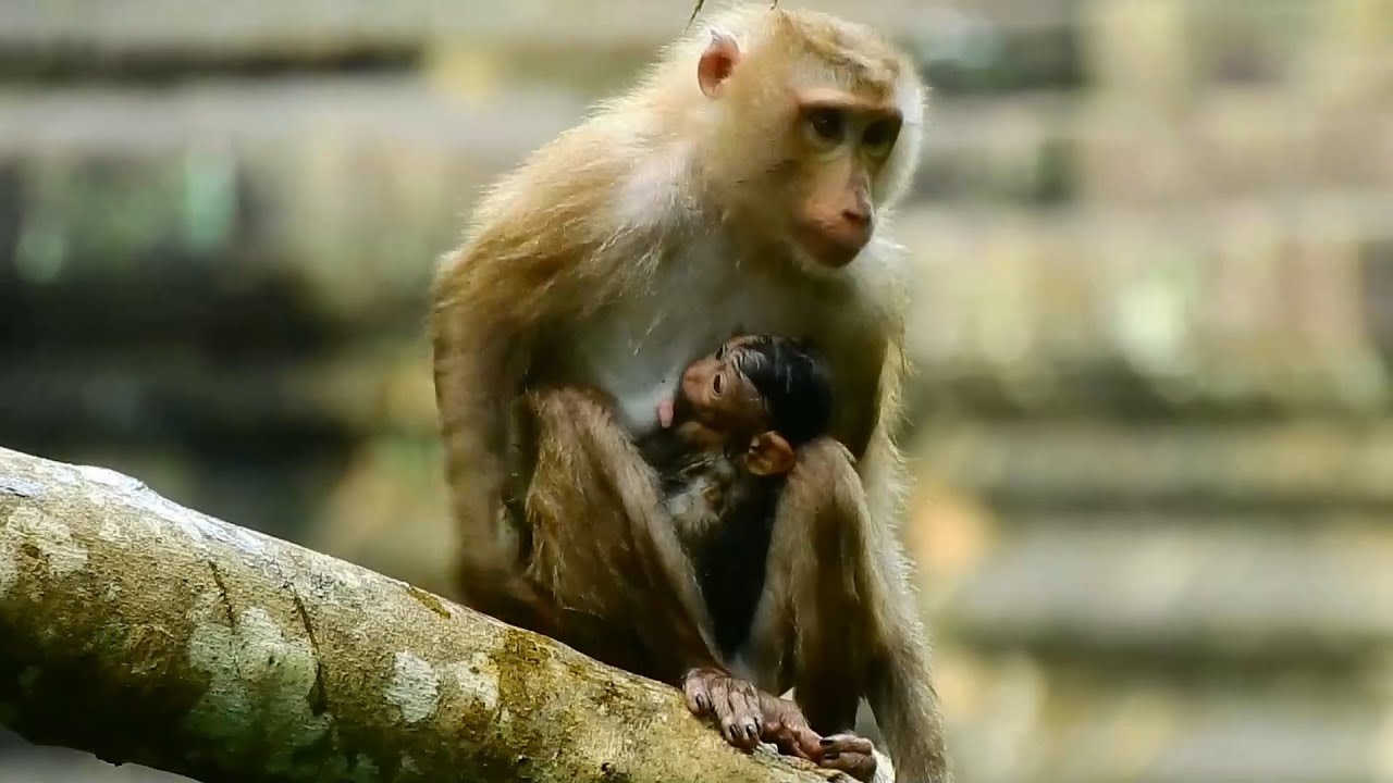 Pity Rainbow extremely cold hug mom tight Libby took her to swim ...