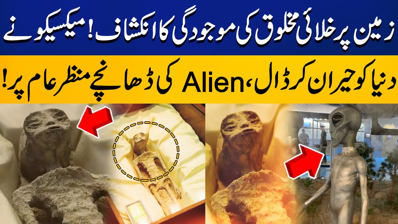 'Ufologist' Unveiled 2 Alien Corpses to Mexican Congress | Shocking ...