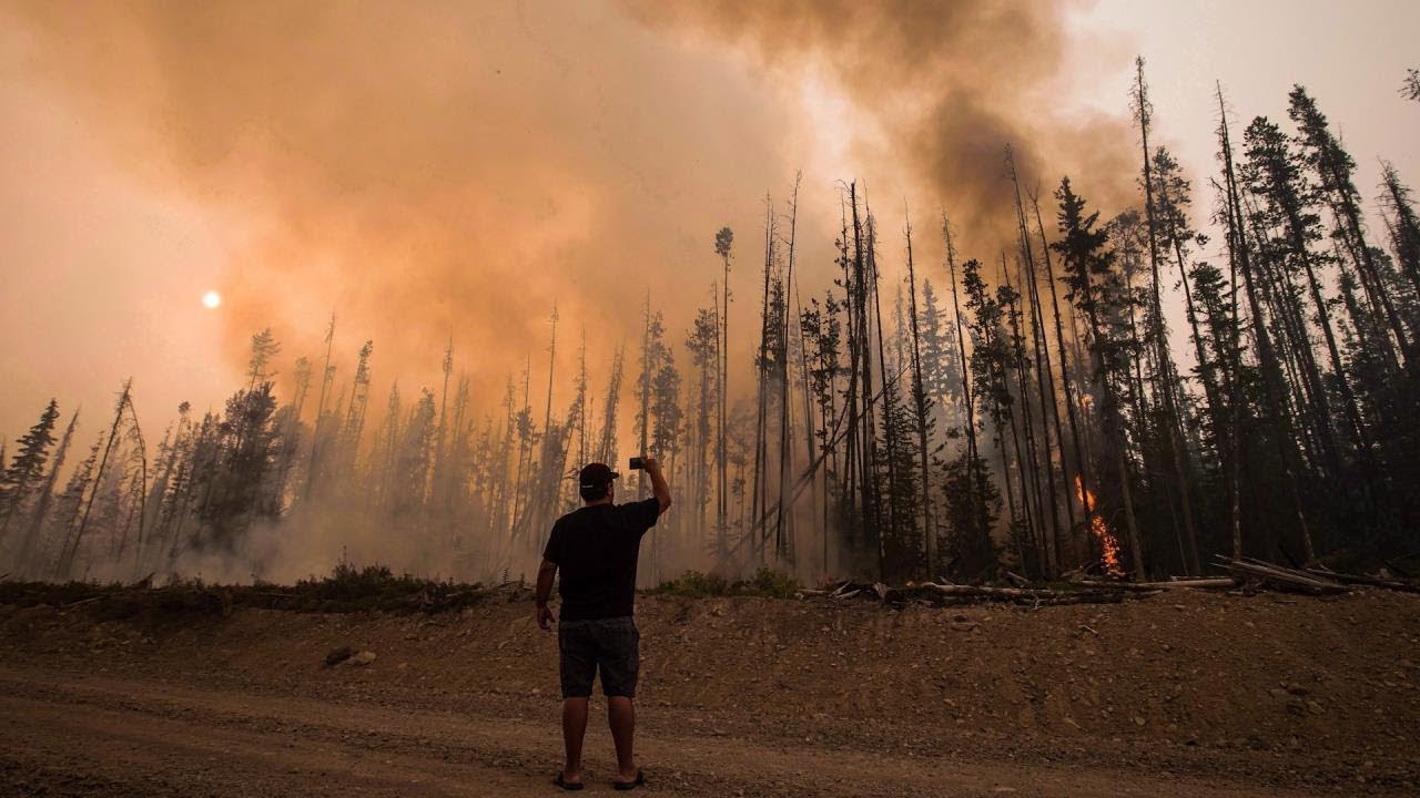 Canadian Forest Service officials discuss this year's wildfire season ...