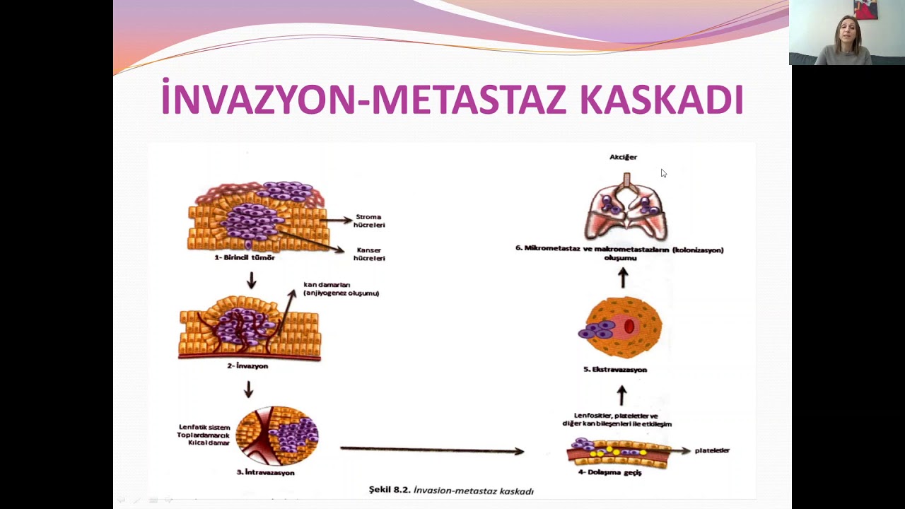 Metastaz 1 - YouTube