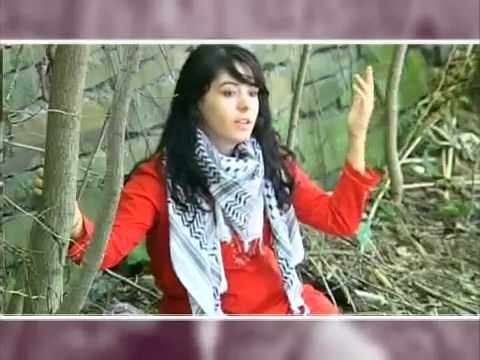 kurtce kilipler 2010 sirmacek koyu