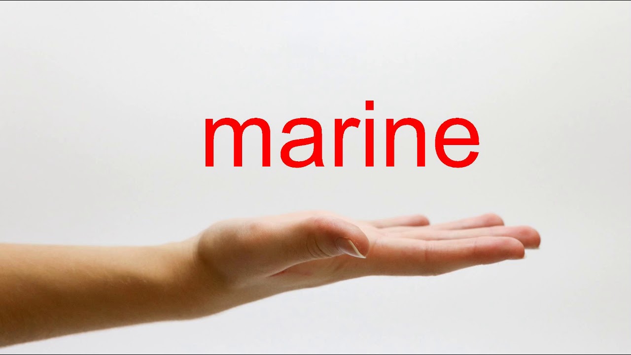 How to Pronounce marine - American English - YouTube