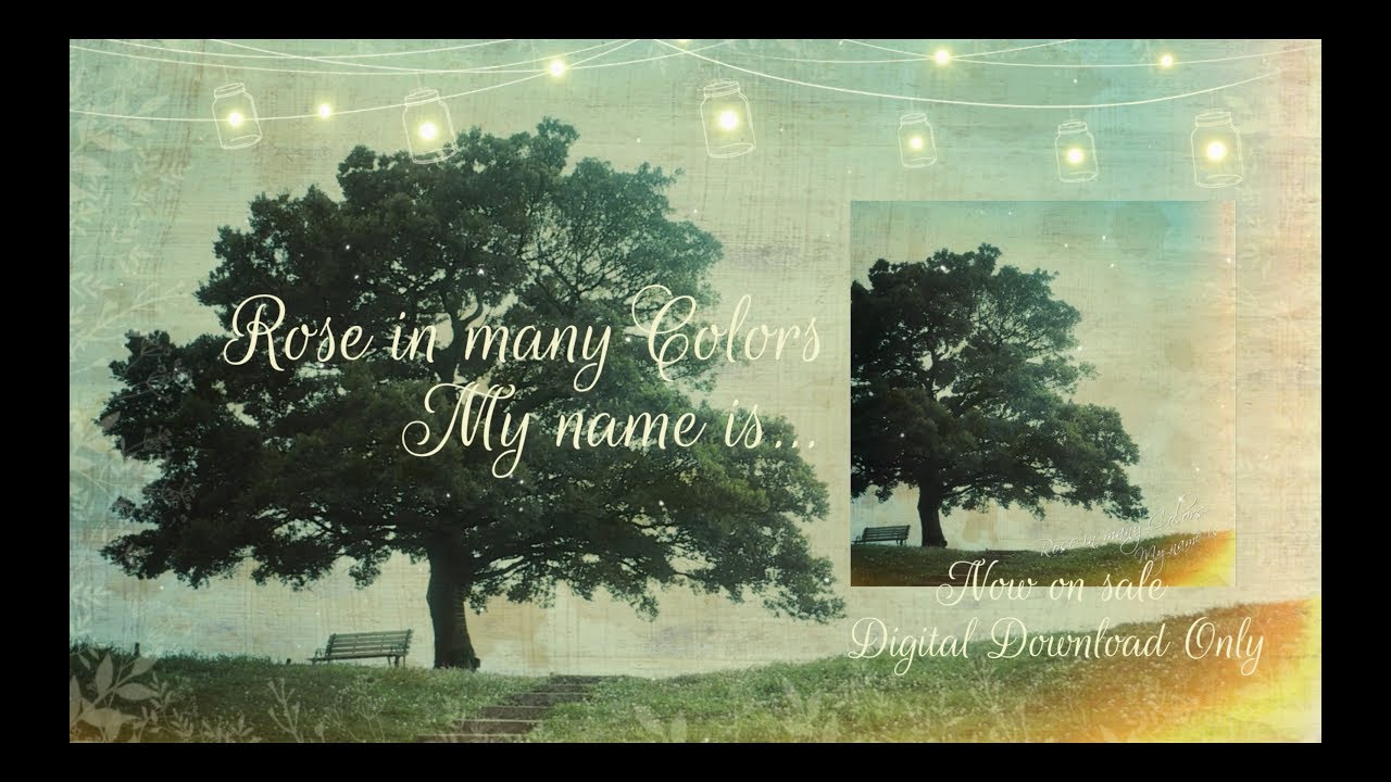 Rose in many Colors『My name is…』MV - YouTube