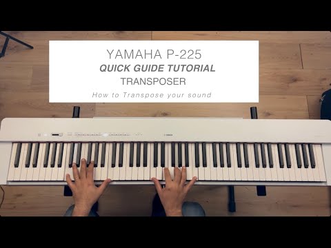 Yamaha P-225 Quick Guide Tutorial - Transposer - How to Transpose your sound