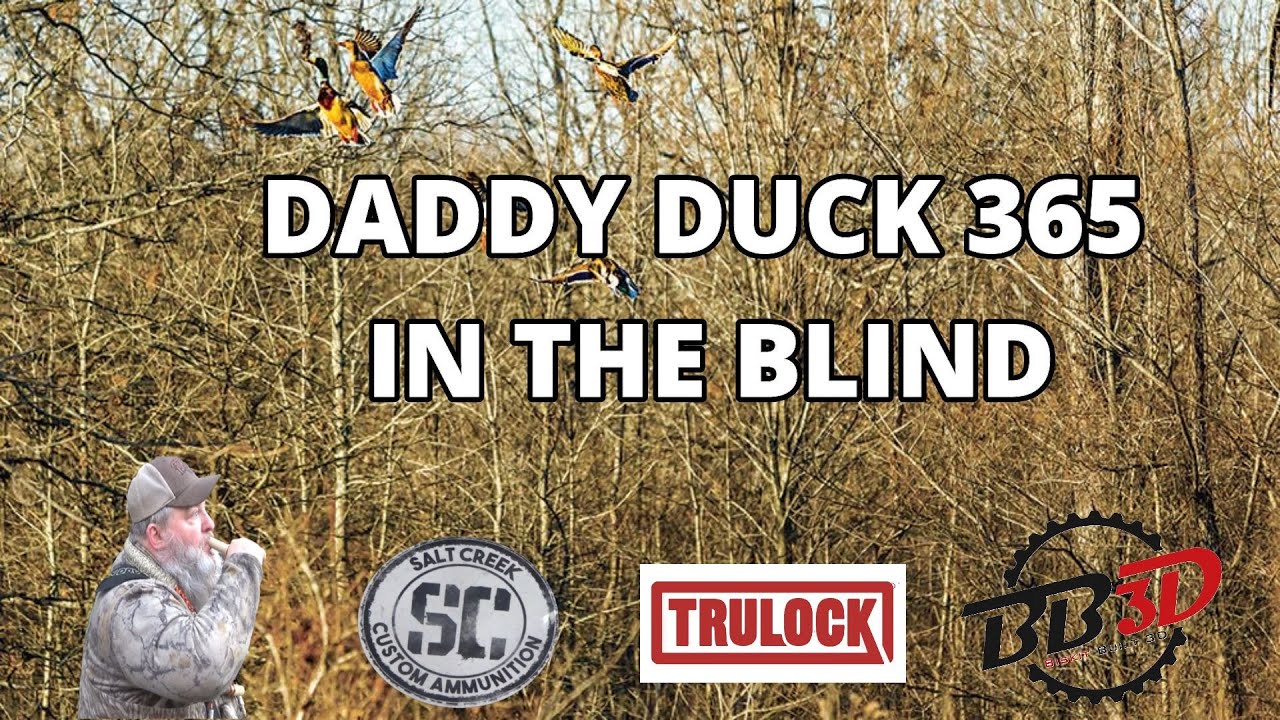 Daddy Duck 365 In The Blind. Last Episode of the Year - YouTube