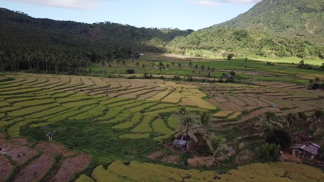 Biliran Rice Terraces - YouTube