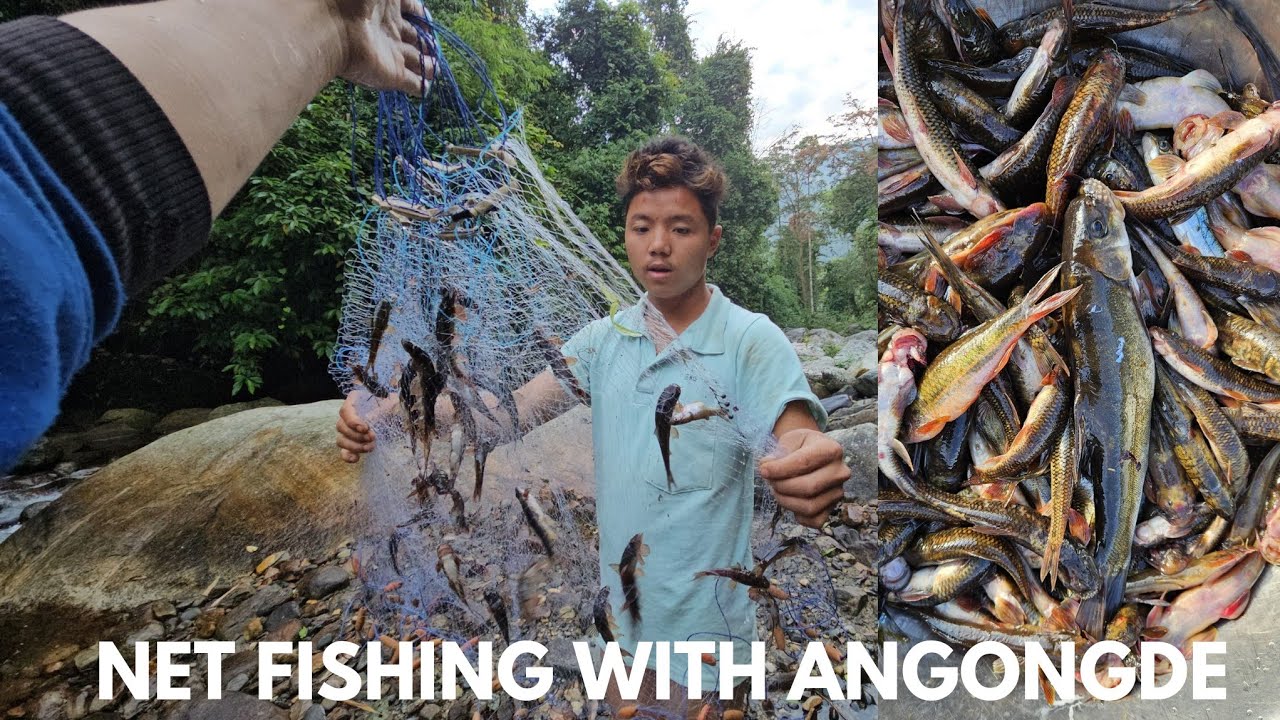 Fishing with net in fresh river with my angong dae//Fishing vlogs ...