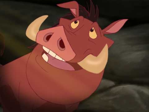 Timon & Pumbaa's Wild About Safety: Safety Smart: Goes Green! (2009 ...