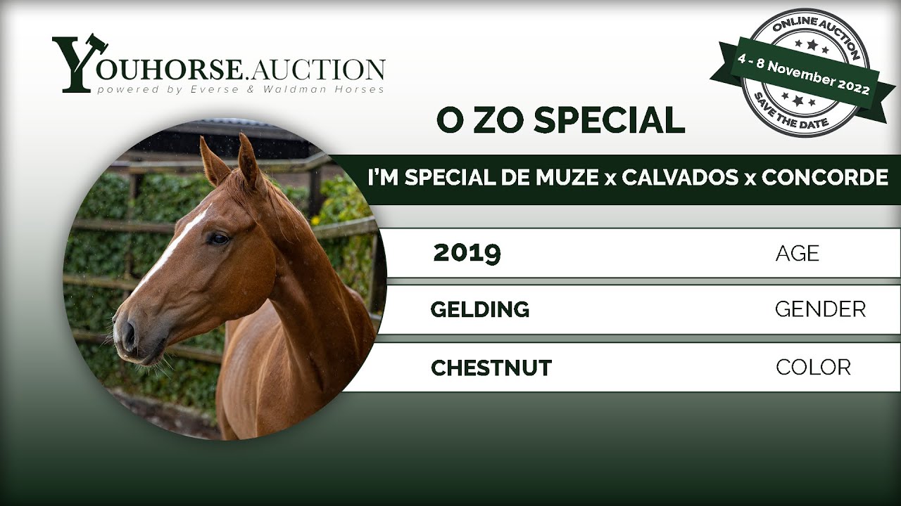 O Zo Special loose jumper in the online Youhorse.auction November 5th ...