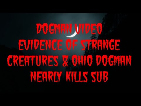 DOGMAN VIDEO EVIDENCE OF STRANGE CREATURES & OHIO DOGMAN NEARLY KILLS ...
