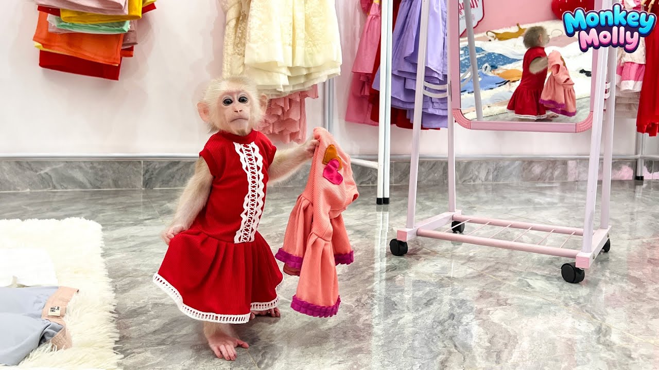 Monkey Molly is very happy when her mom takes her shopping for ...