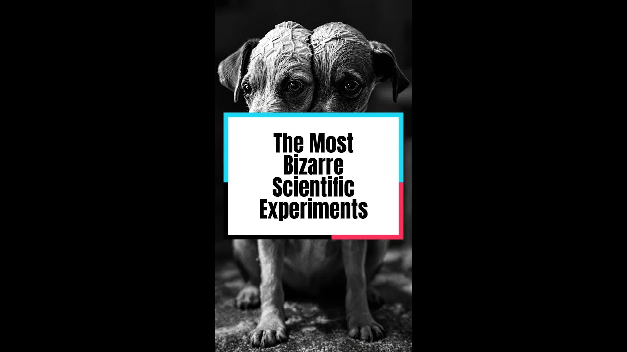 The Most Bizarre Scientific Experiments - YouTube