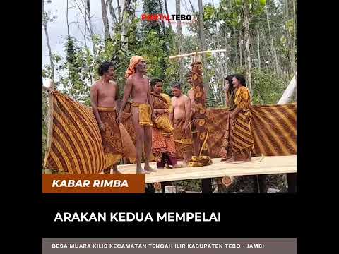 VIDIO LENGKAP Acara Adat Pernikahan Suku Anak Dalam di Tebo - Jambi