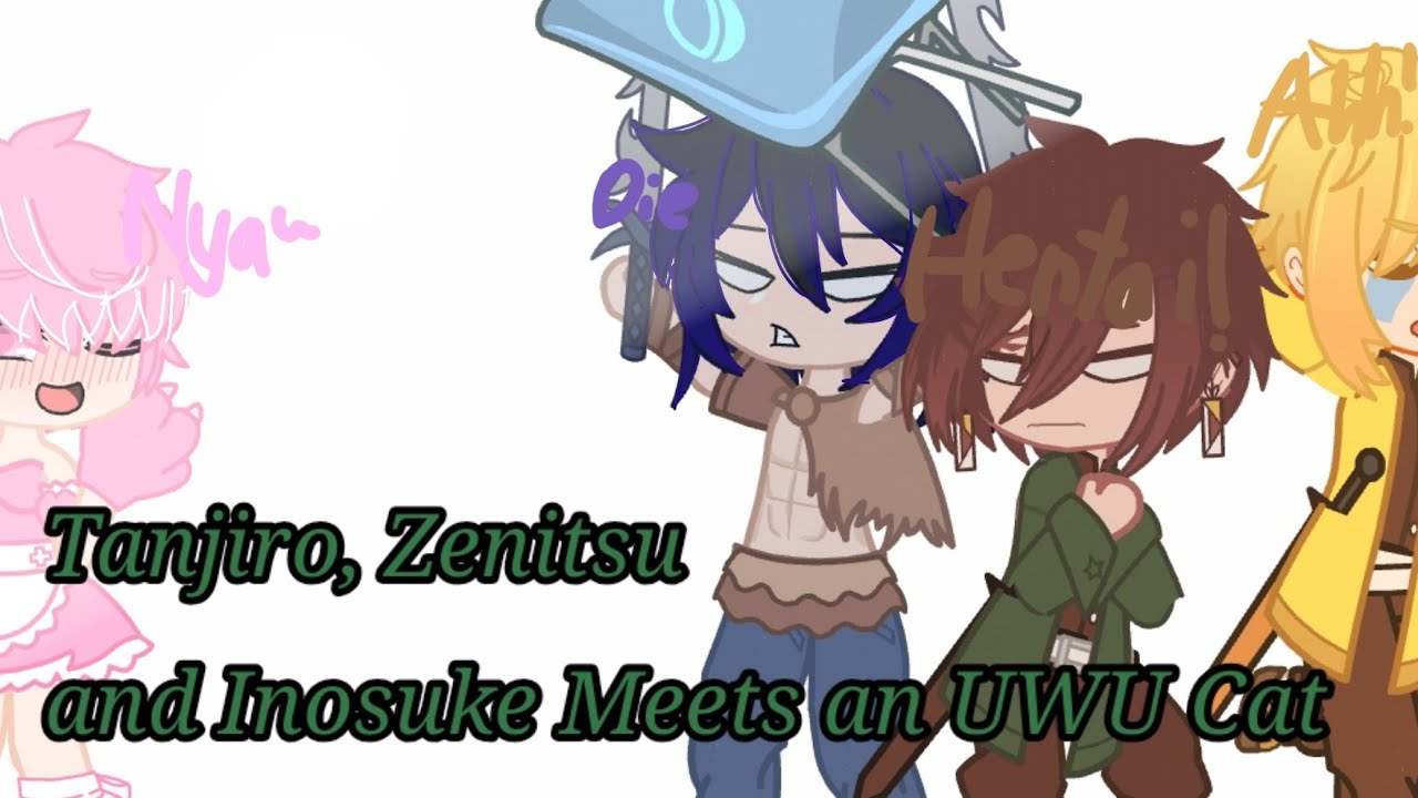 【If Tanjiro， Zenitsu and Inosuke Meets an UWU Cat】 - YouTube