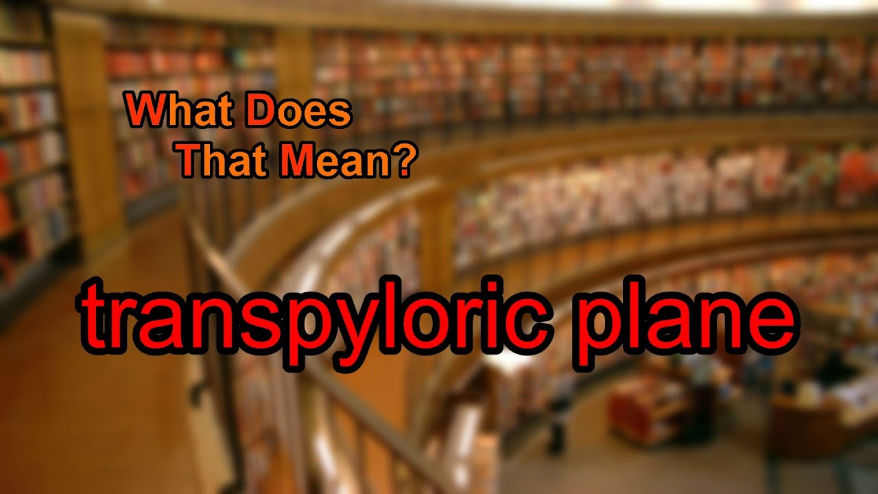 What does transpyloric plane mean? - YouTube