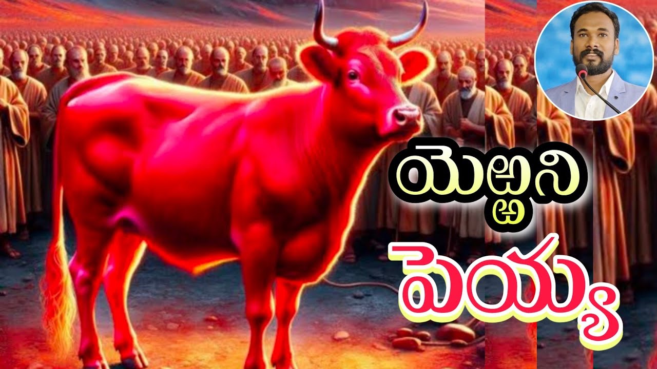 యెర్రని పెయ్య || Red Heifer || సంఖ్యాకాండము -19 || Numbers-19 || Pastor ...