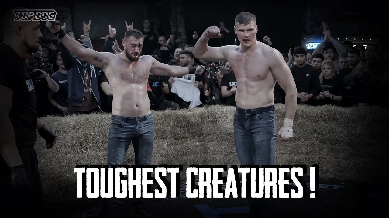 The MOST BRUTAL HEAVYWEIGHT Bare-Knuckle Boxing | TOP DOG CHAMPIONSHIP ...