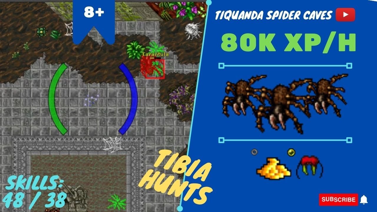 RP SOLO LVL 8+ 80K XP/H - SKILLS 48/38 - Tiquanda Spider Caves - TIBIA HUNT - YouTube