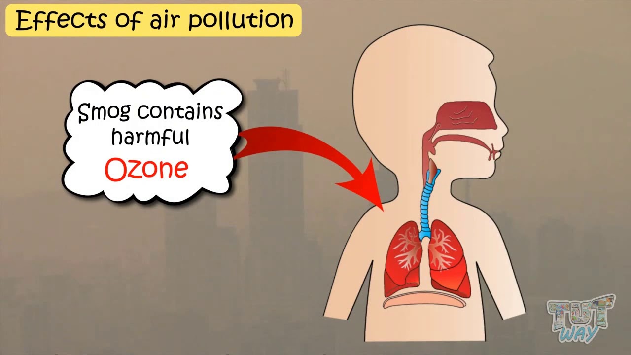 Air Pollution Its Effects Causes And Prevention Science Grade 3 air-pollution-its-effects-causes-and-prevention-science-grade-3