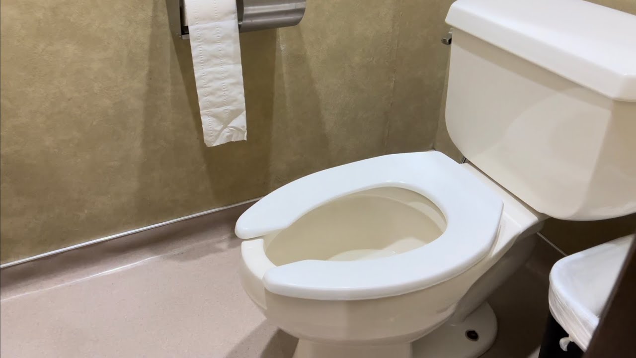 Kohler Wellworth Pressure Lite Toilet Flush | Flushing Desensitization ...
