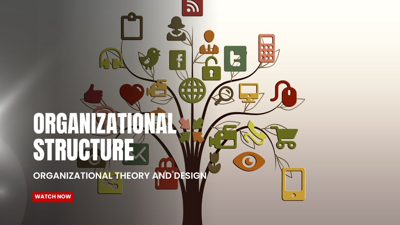 Organizational Structure | Organizational Theory & Design - YouTube