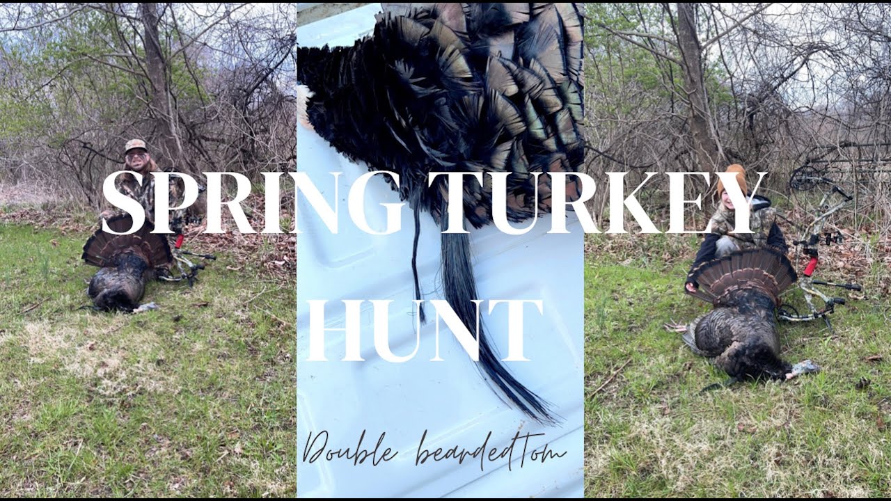 Double Bearded Tom | Spring Turkey Hunt 2022 - YouTube