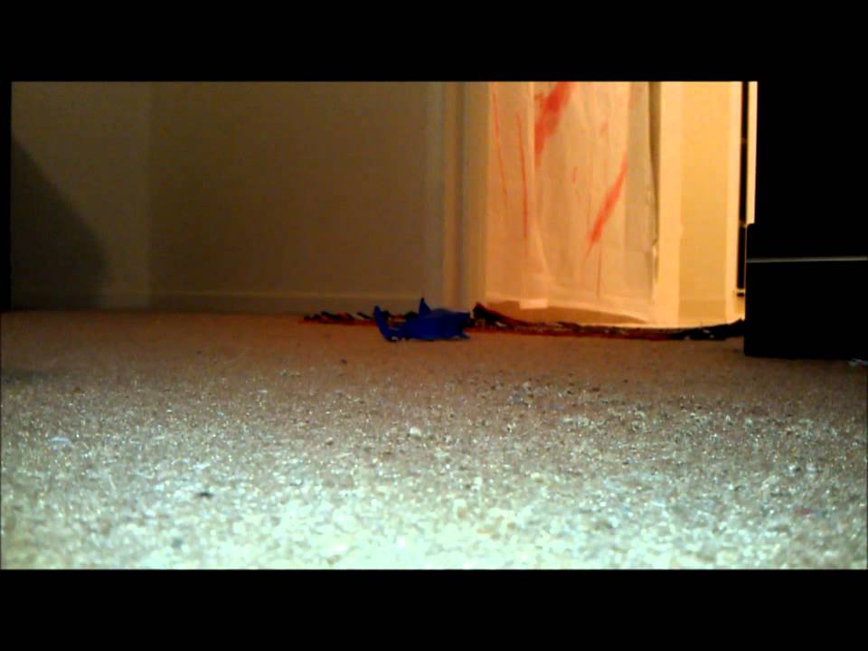 SHARKBITE MOVIE.wmv - YouTube