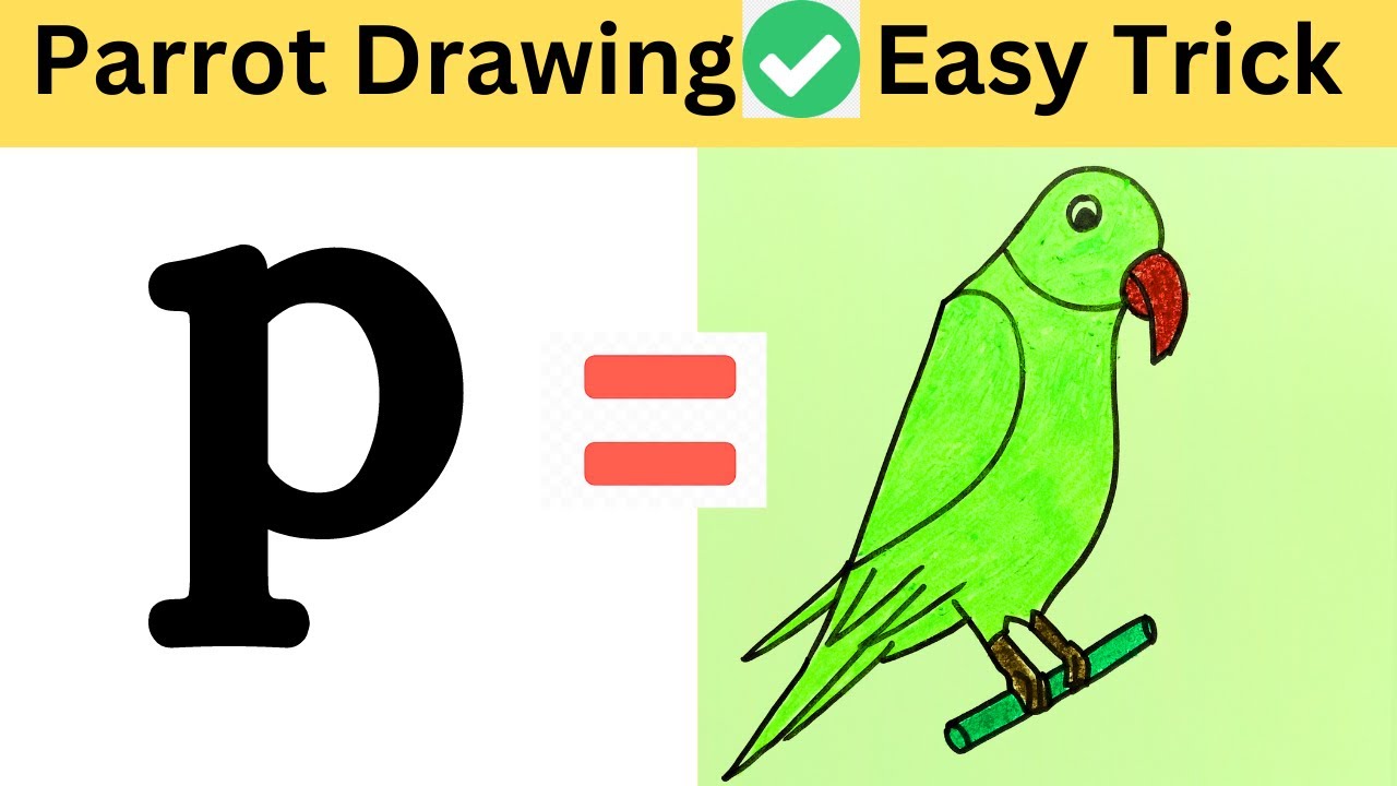Parrot Drawing Easy Trick | How to draw Parrot Drawing Step by Step ...