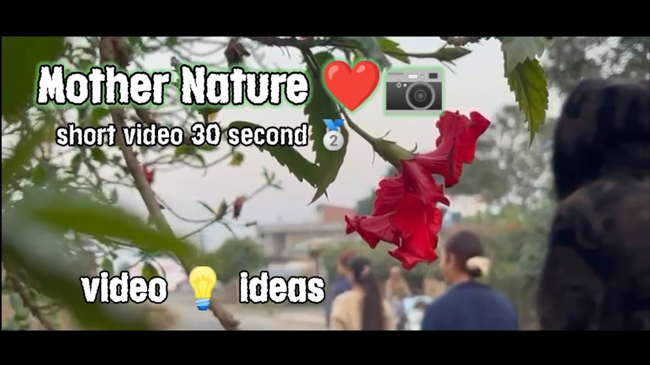 Nature explained in 30 seconds. Shorts video idea 💡 for beginners. #wildlife #forestry - YouTube