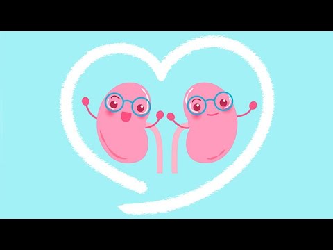 Böbrek Taşı Ameliyatı Sonrası Cinsel İlişki Nasıl Olmalıdır?