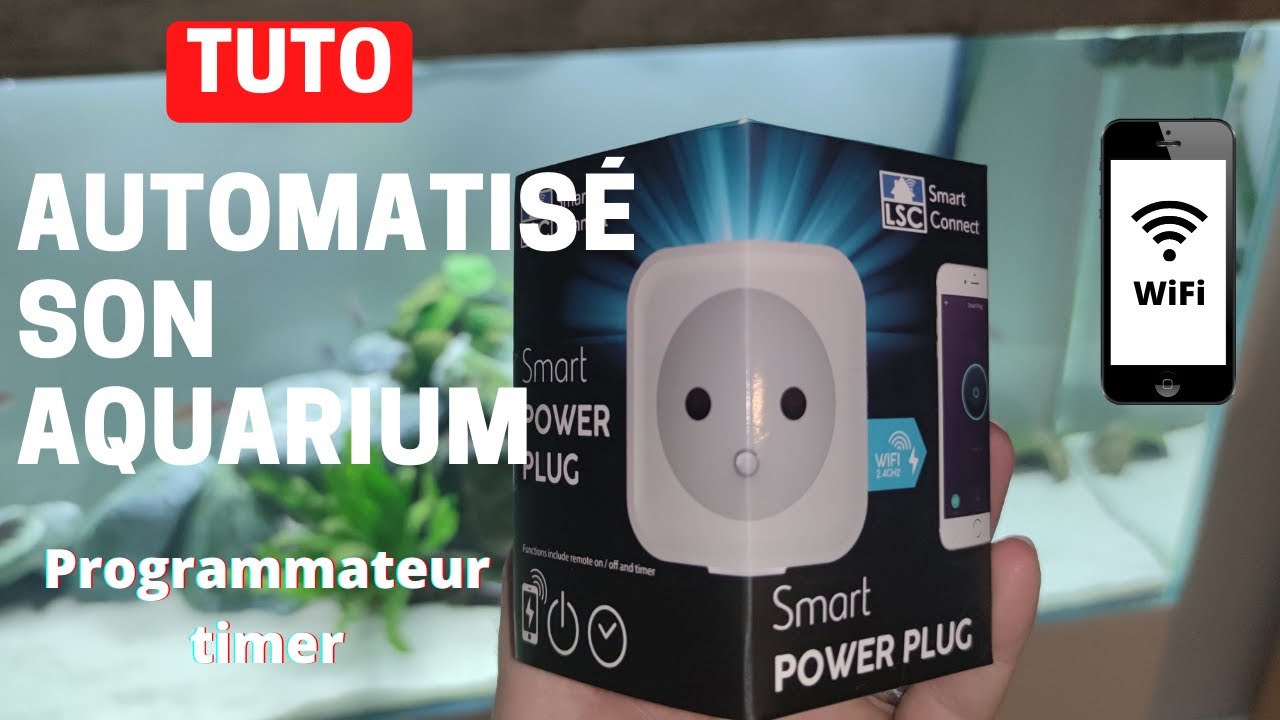 Automatisé son aquarium avec une prise wifi (programmateur timer) - YouTube