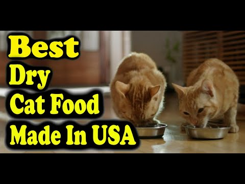 Best Dry Cat Food Made In USA - YouTube