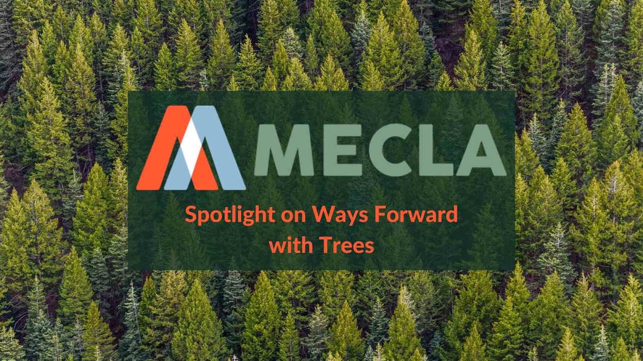 MECLA Spotlight on Ways Forward with Trees - YouTube