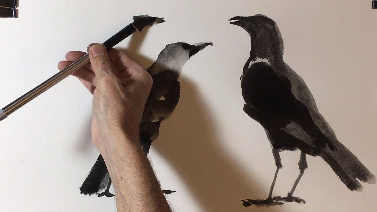 Drawing crows with a brush in Indian ink - YouTube