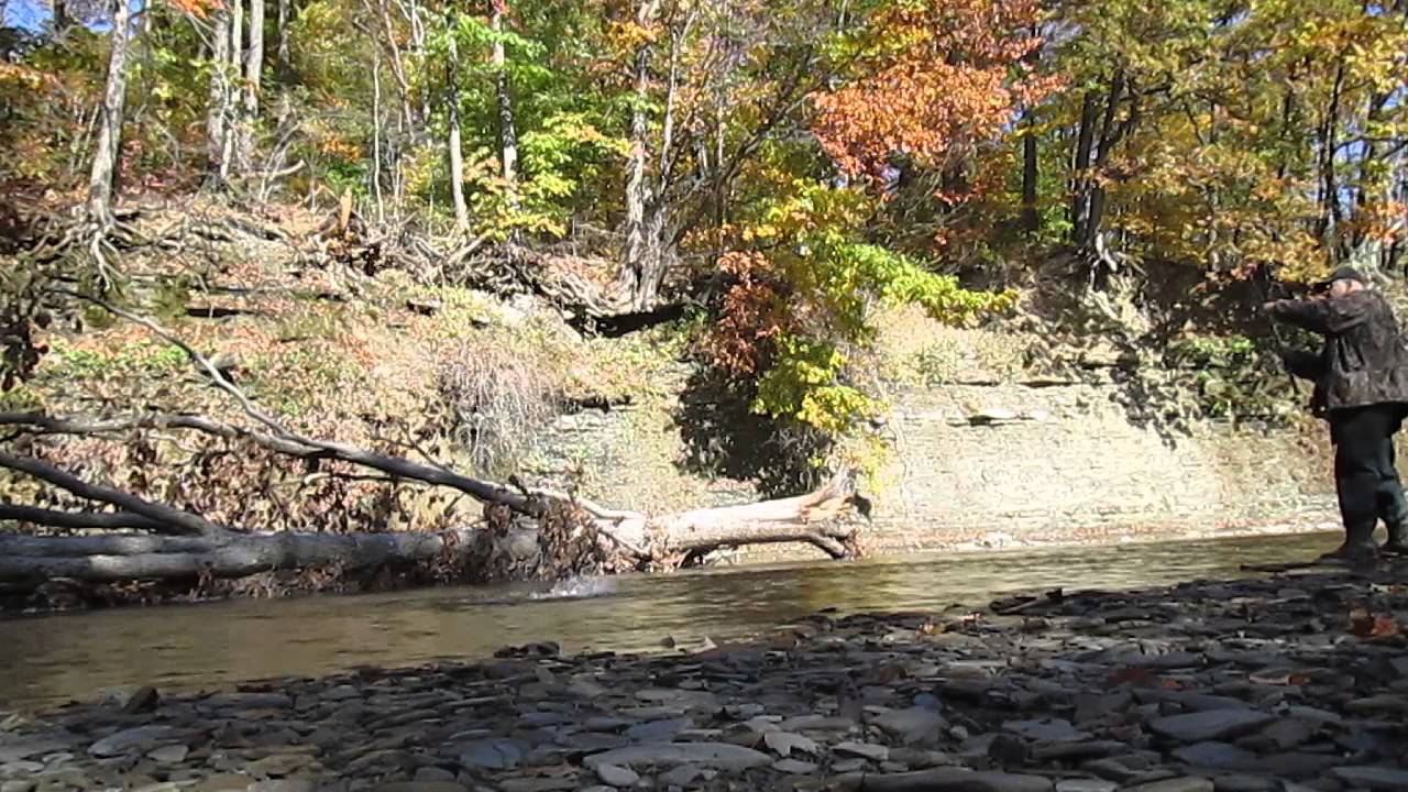 Erie steelhead action - Jack - October 24, 2014 - YouTube