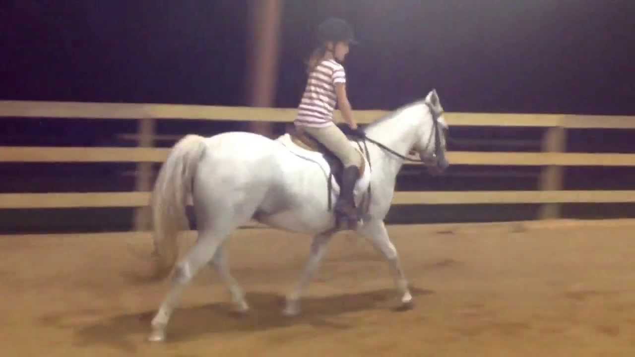 Ashes & Nat week 3 trot poles - YouTube