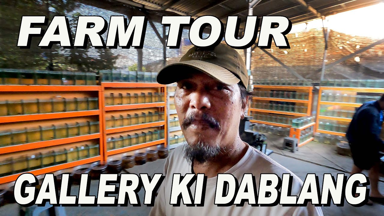 FARM TOUR GALLERY KI DABLANG - YouTube