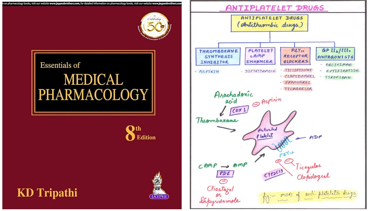 Antiplatelet Drug Classification | Pharmacological Classification of ...