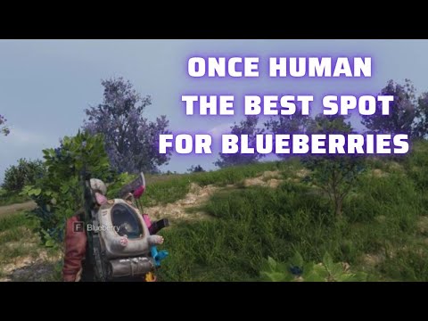 Once Human - The Best Spot for Blueberries - YouTube