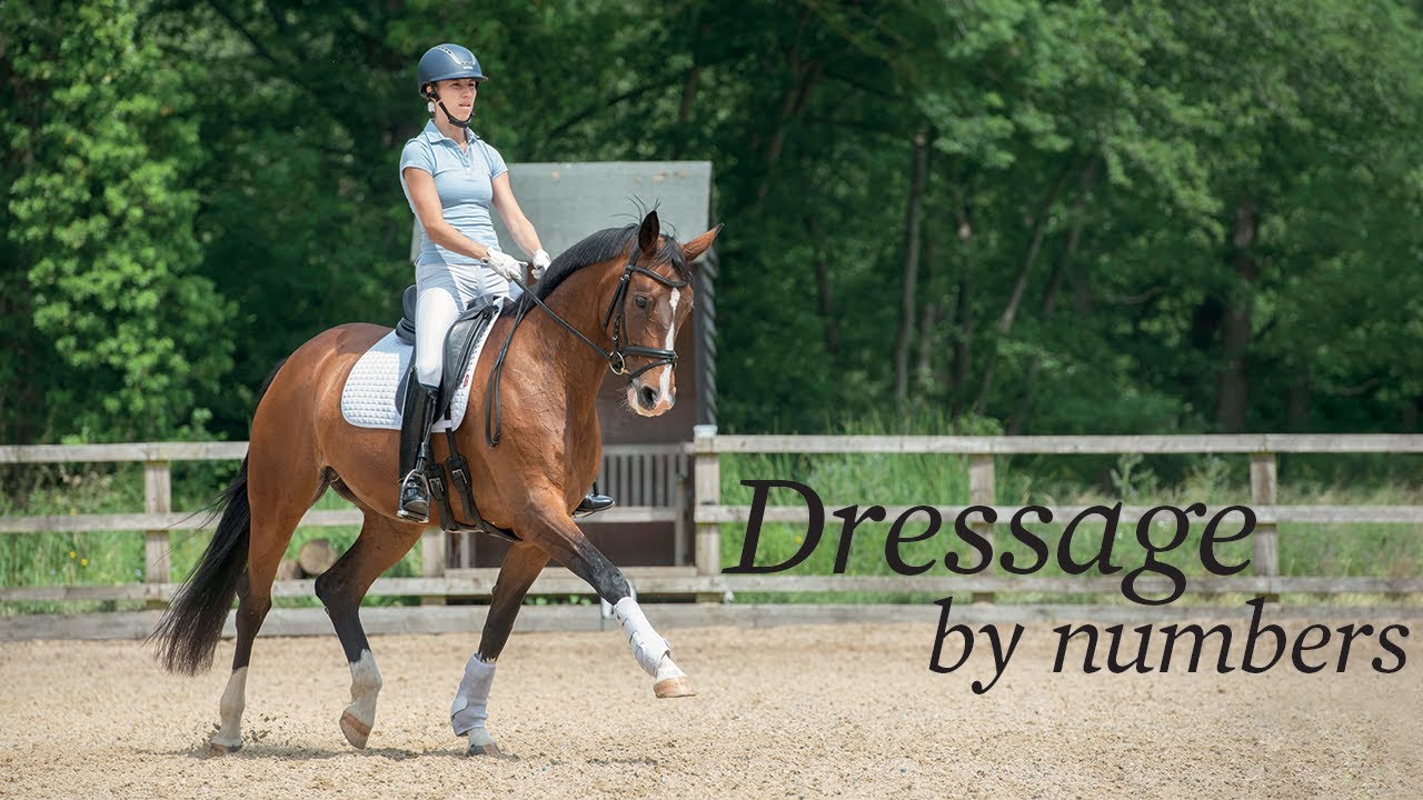 Dressage by numbers with BD Leanne Wall - YouTube