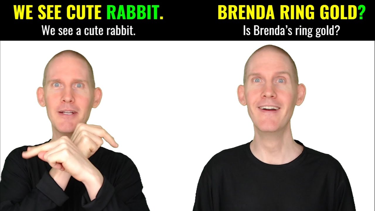 How To Sign "We see a cute rabbit" & "Is Brenda's ring gold?" in ASL ...