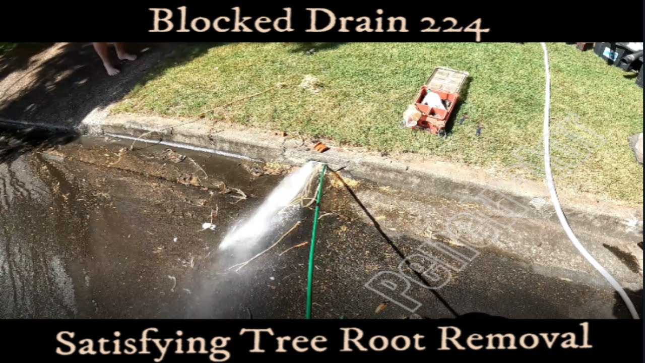 Blocked Drain 224 - High Excitement | High Pressure | Tree Root Removal ...