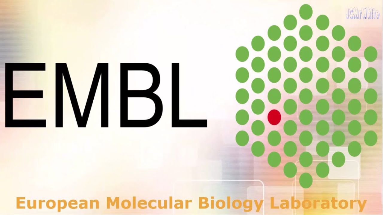 EMBL Tutorial - YouTube
