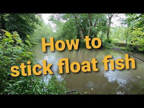 RDAA Tips. How to fish with a stick float - YouTube