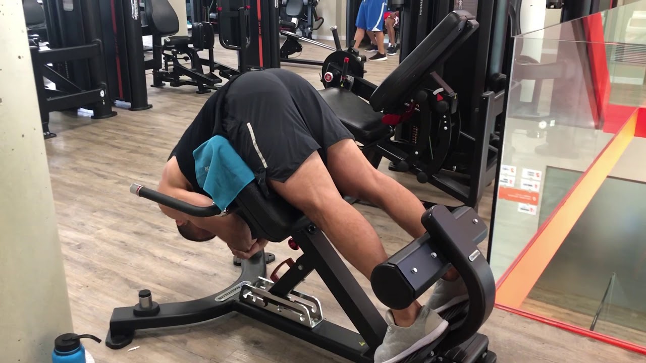 Pause weighted 45 degree reverse hyper - YouTube